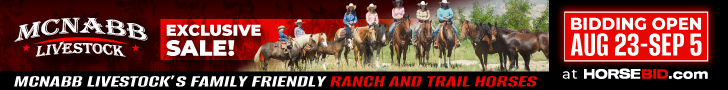 Horses for Sale | Ranch Classifieds | Ranch Horses for Sale