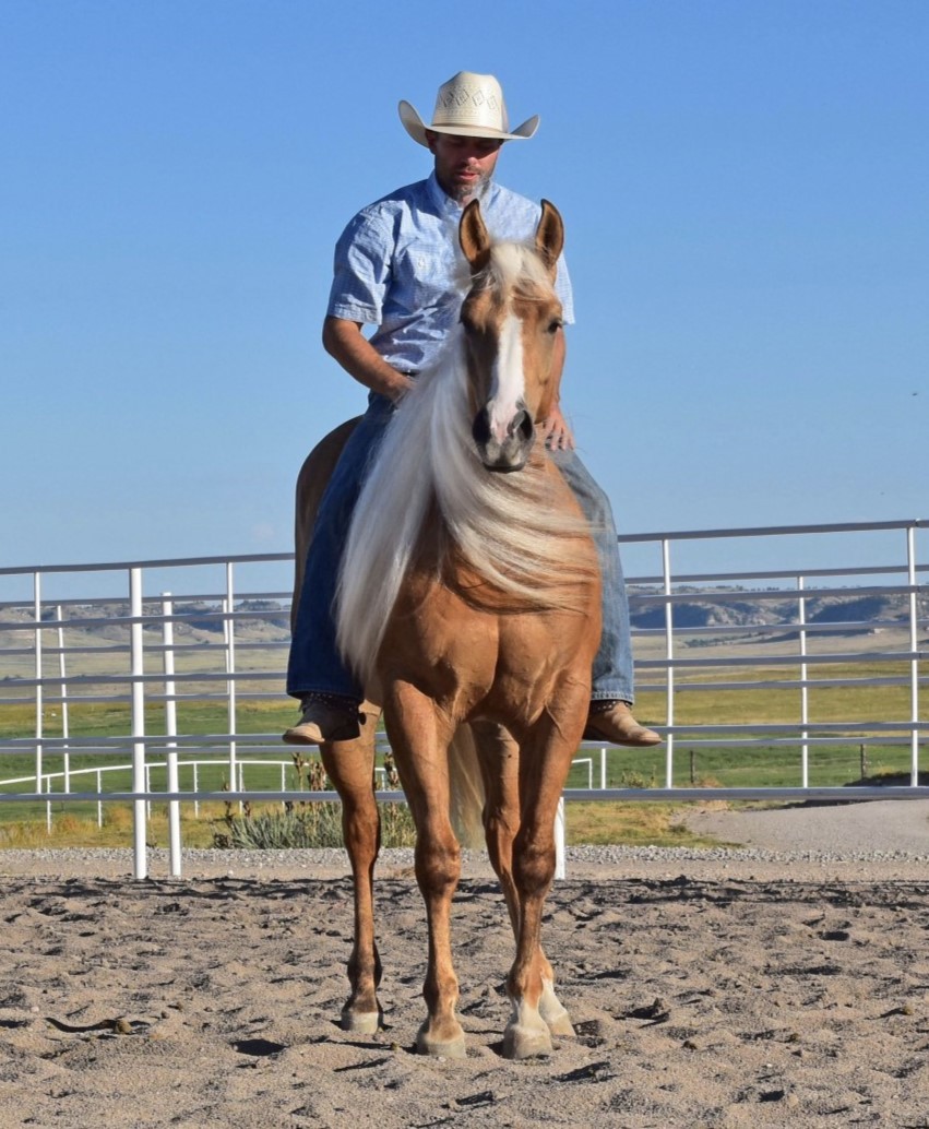 Twombly Performance Horse Sale November 2 & 3, 2023