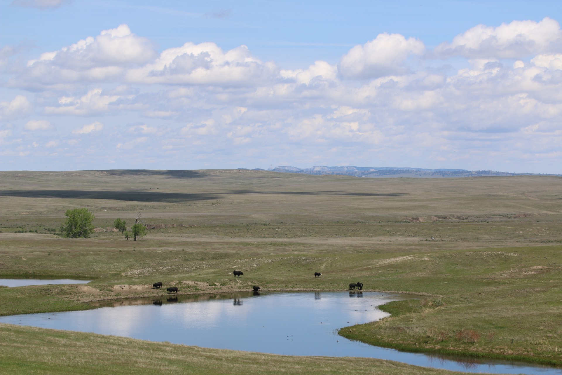 Wanted - Ranch Help for Cow/Calf Operation - SE Montana