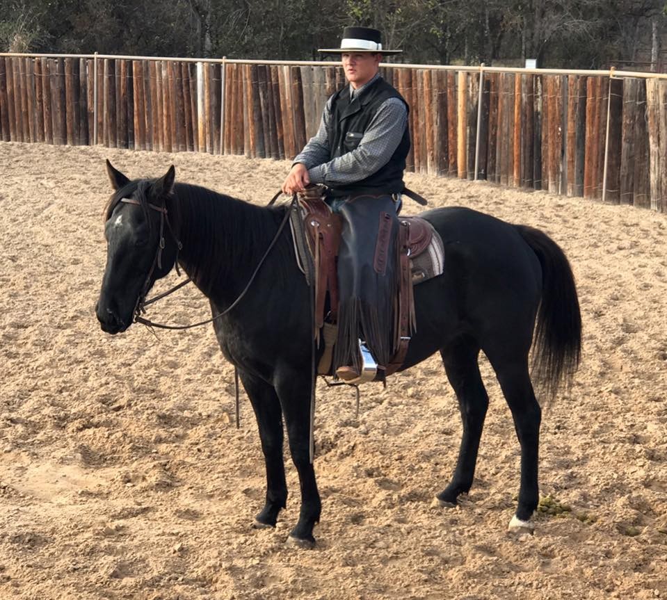 Nice Black Ranch Gelding