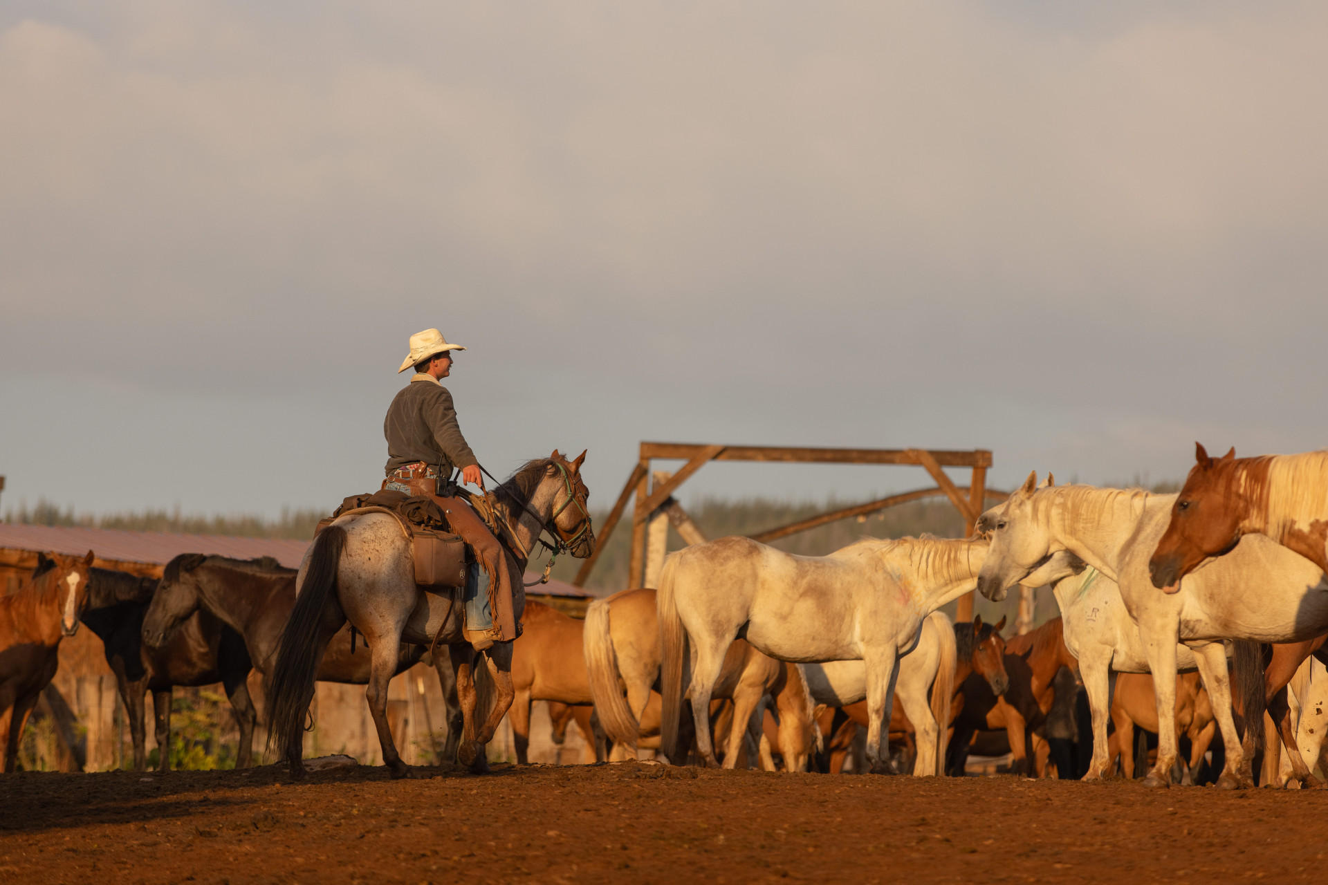 Seeking Ranch Employment, Will Move.
