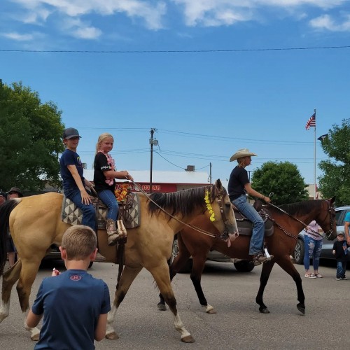 2012- Kids/ Family/ 4H/ Ranch Gelding