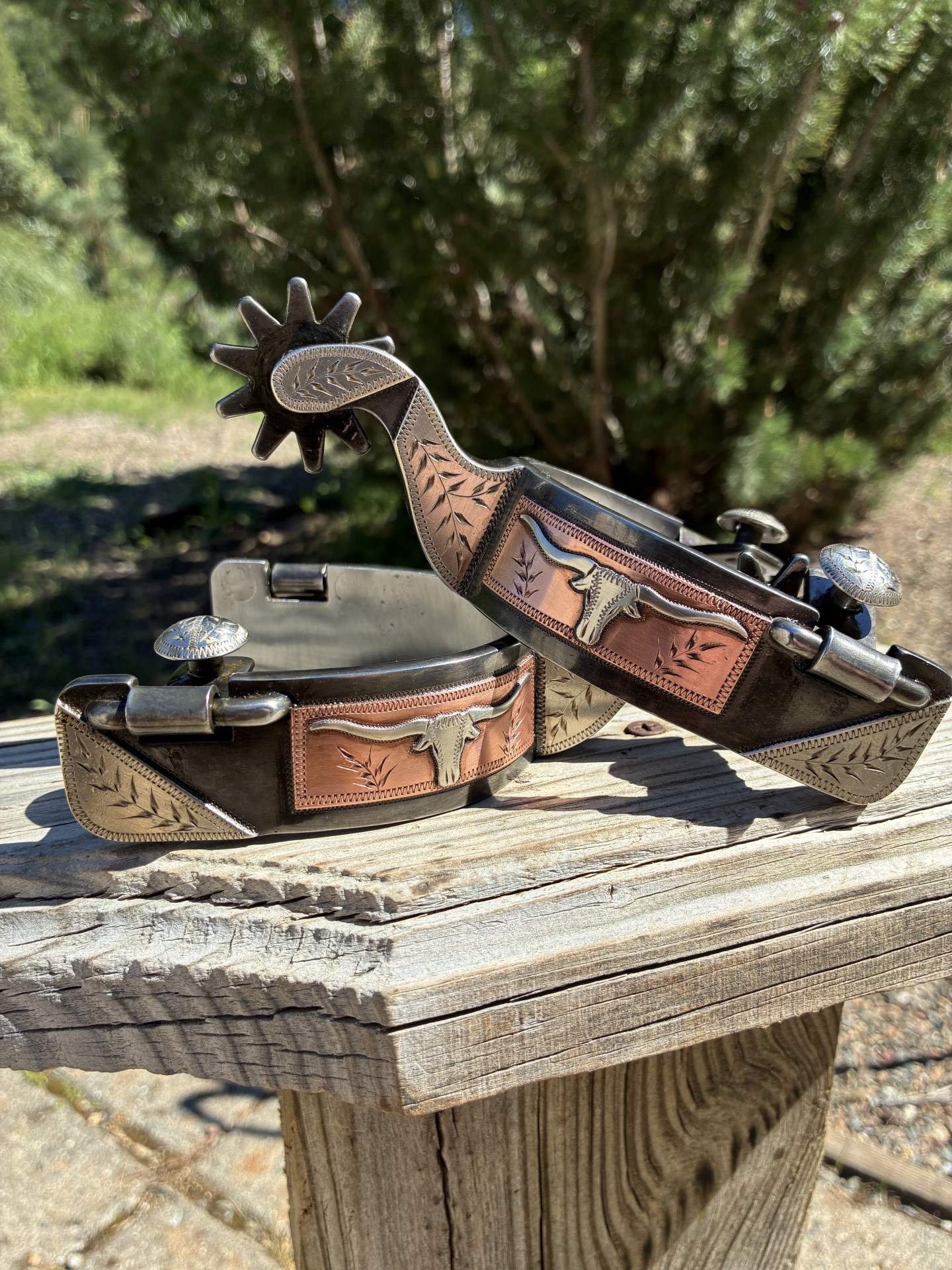 DOUBLE MOUNTED SPURS BY RAY CASTLEBERRY