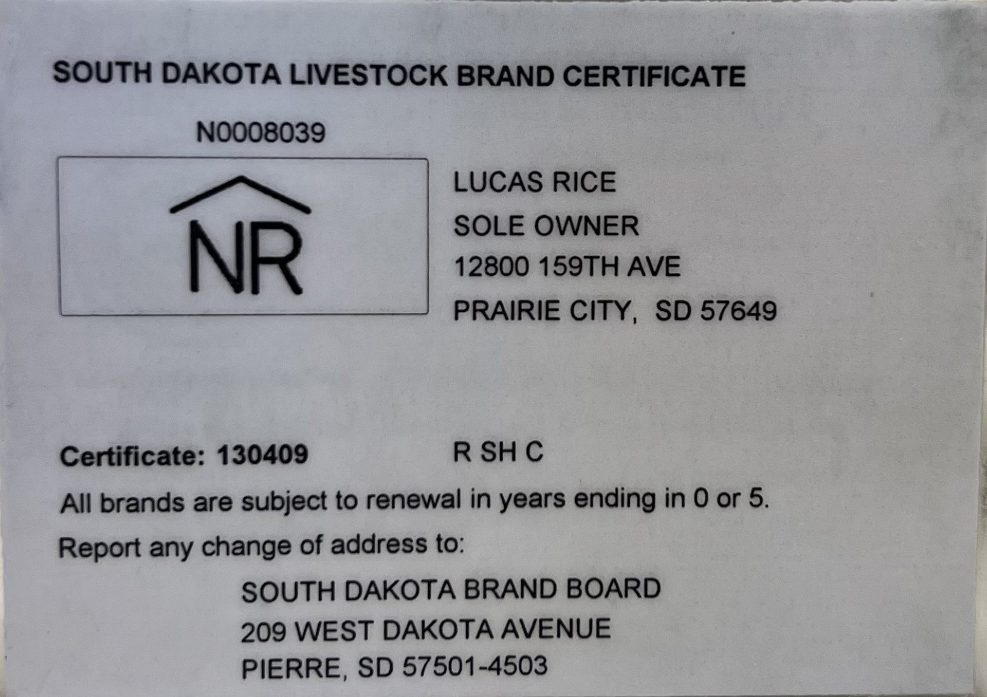 SD Cattle Brand: Rafter NR