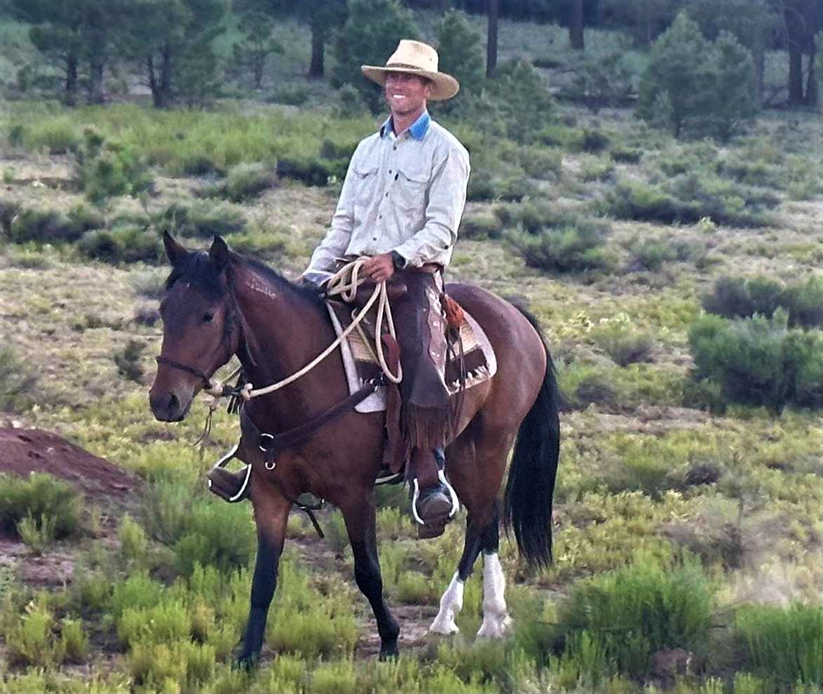 3 Year Old Mustang Gelding