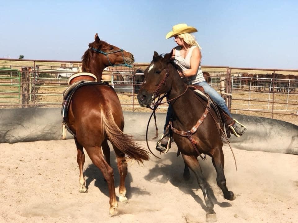 Colt Starting - Barrel Horse - Rope Horse Training - Colorado